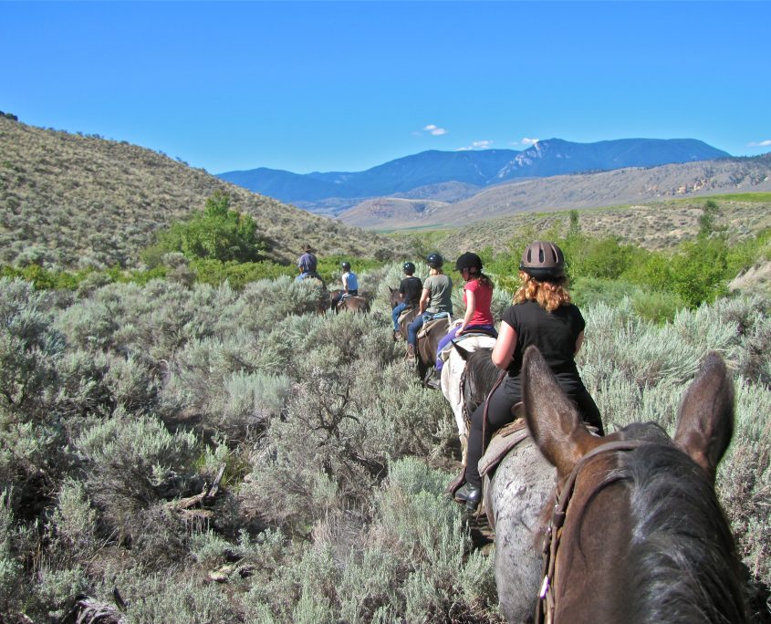 Gallery - Sundance Guest Ranch