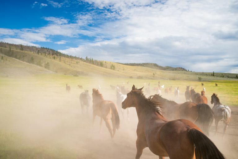Photos - Sundance Guest Ranch