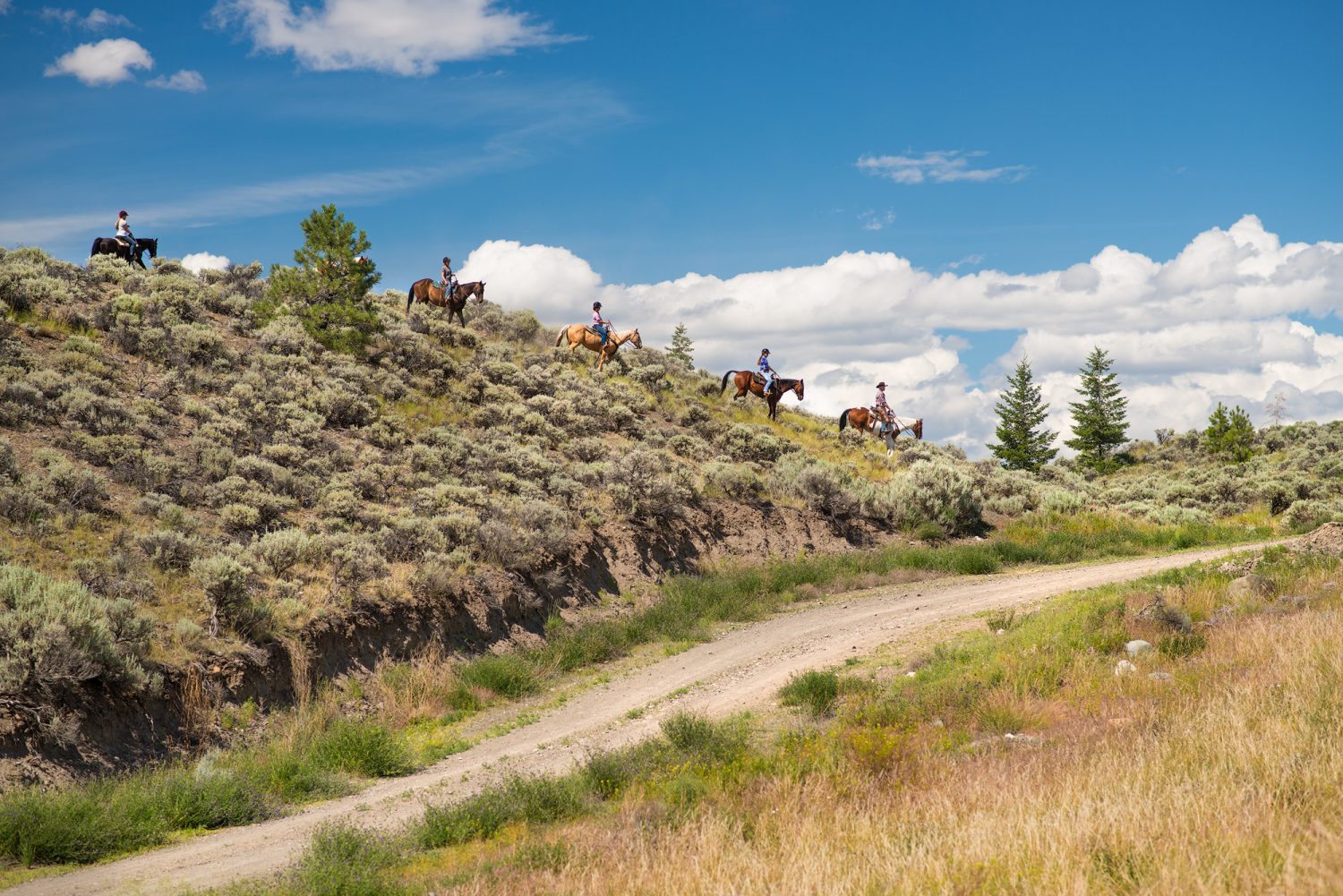 Photos - Sundance Guest Ranch