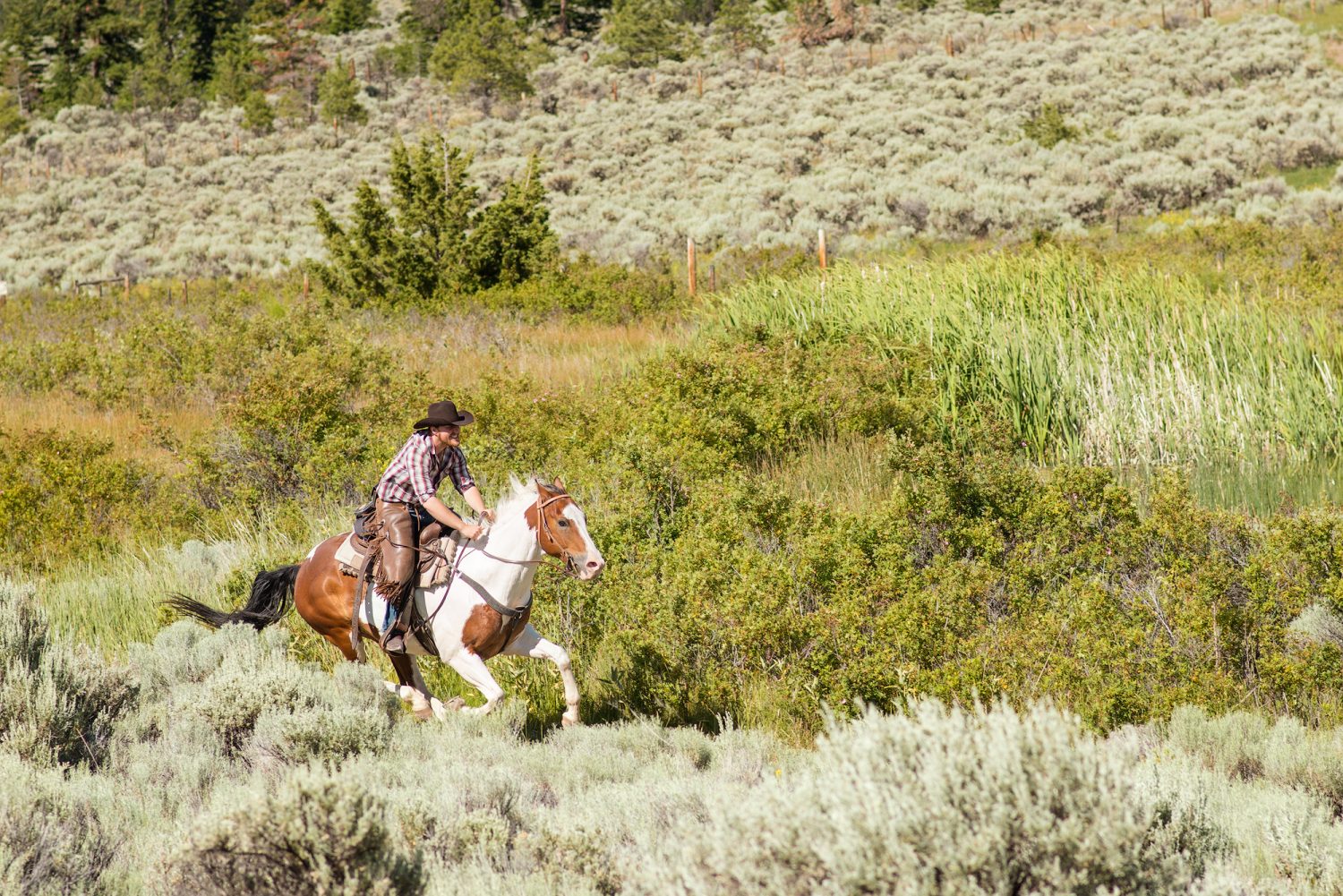 Photos - Sundance Guest Ranch