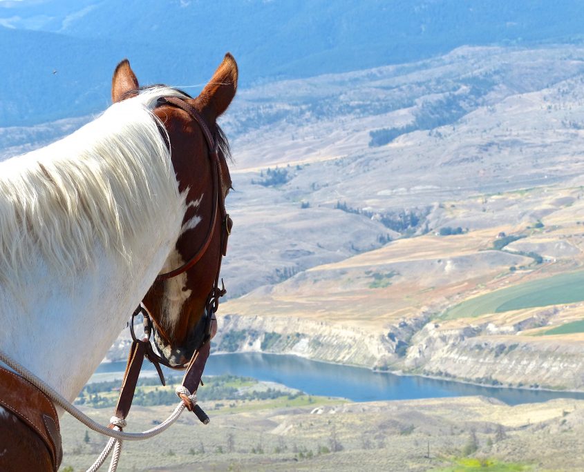 Gallery - Sundance Guest Ranch